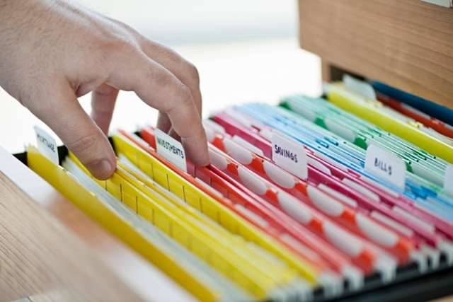 What is Categorical Data? Definition, Types, Examples | Appinio Blog